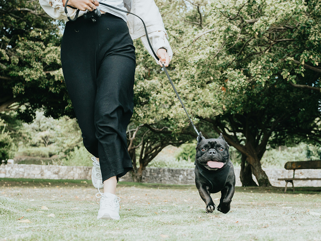 Sparkle Inks 25-unit Deal In Dallas With Franchise Heavyweights